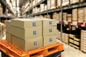 AVS - Logistics